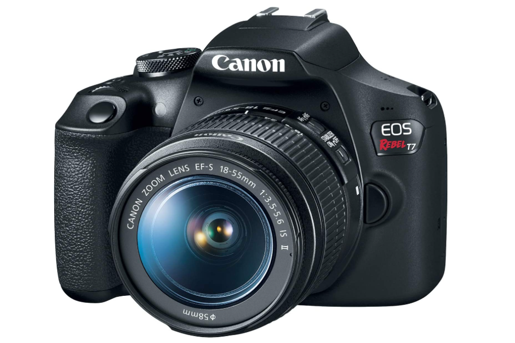 The 10 Best Cameras for Beginner Photographers - NoKishiTa Camera