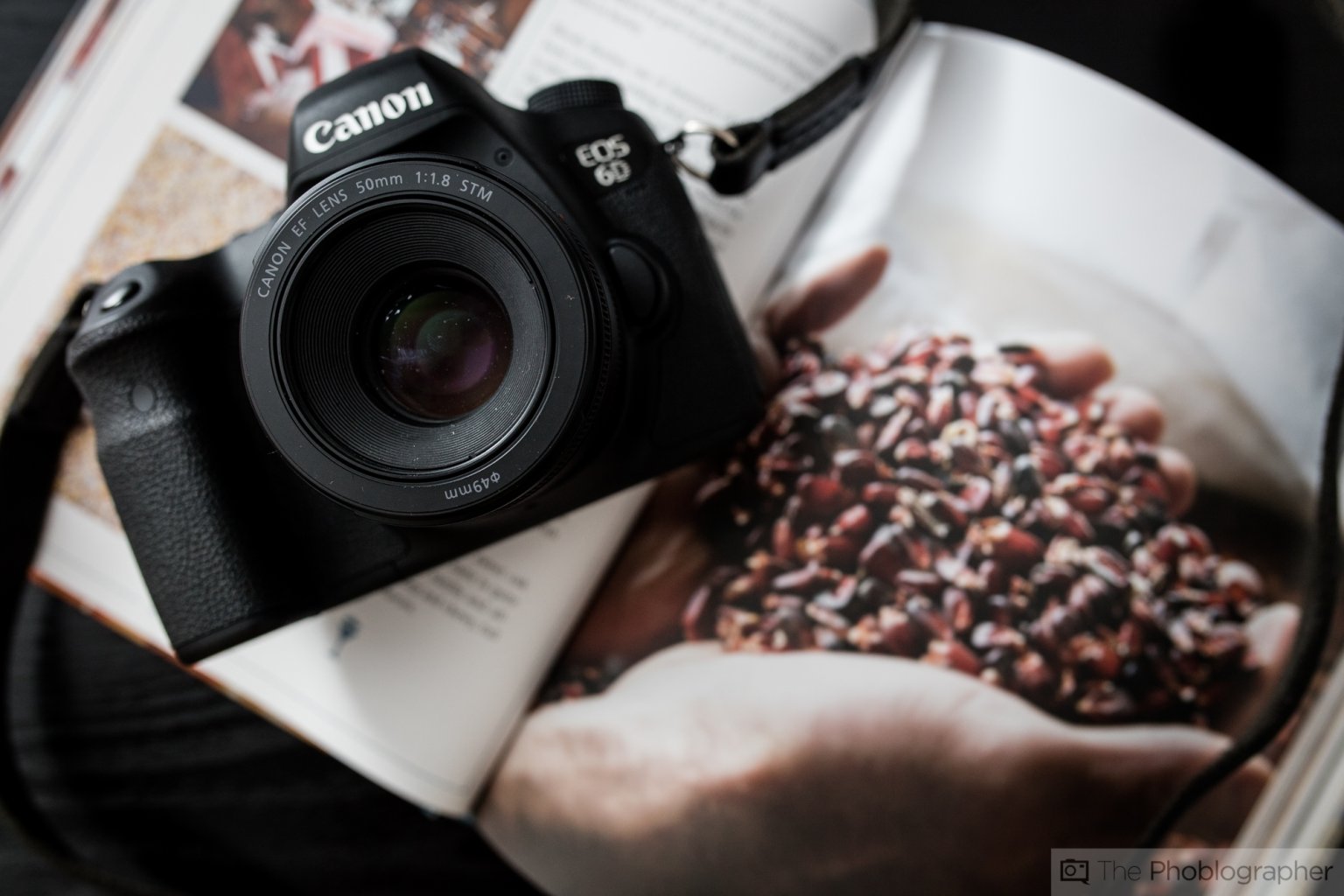 Beginner-Friendly Lenses for Canon Cameras - NoKishiTa Camera