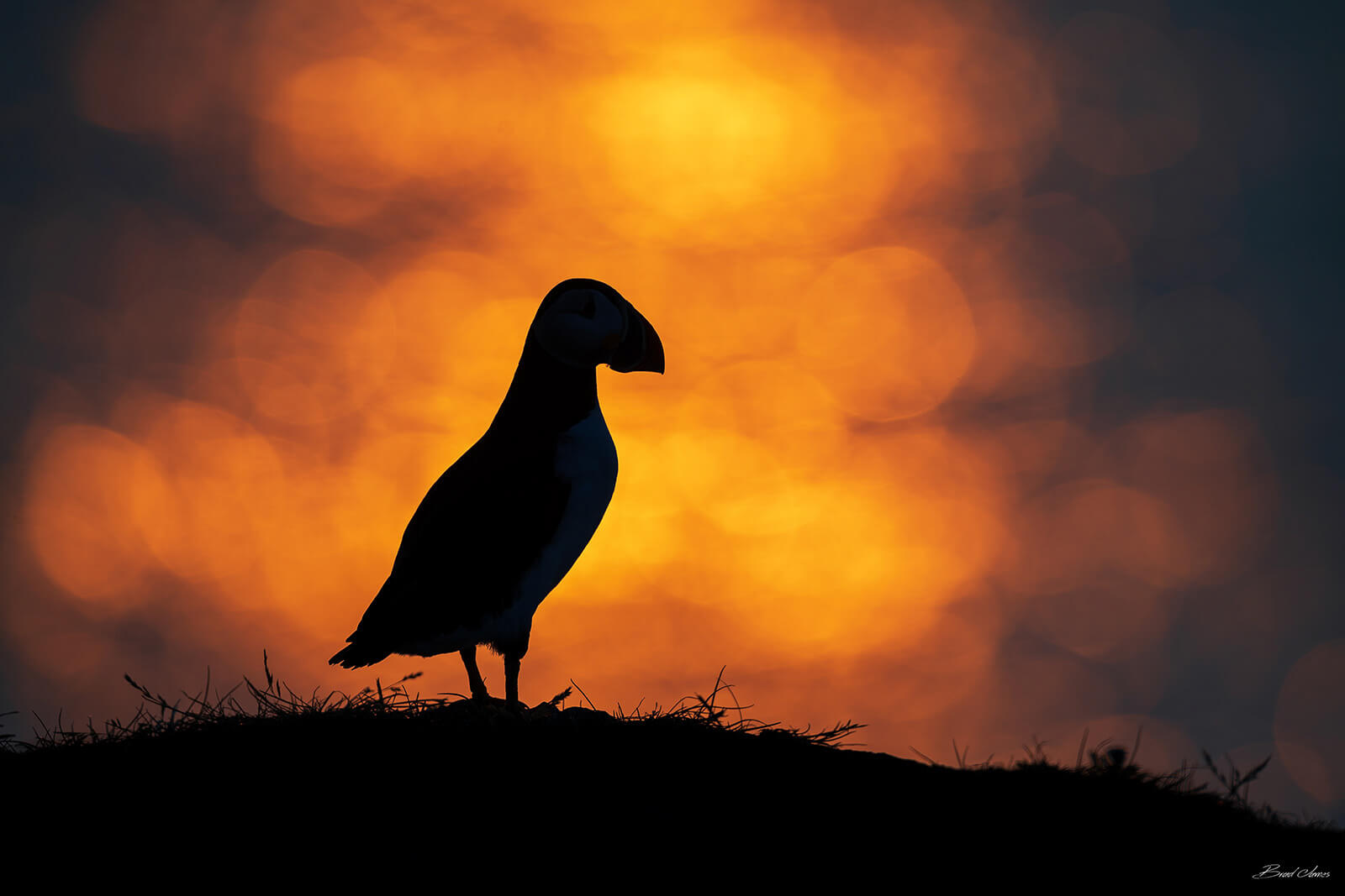 How Can Shadows Be Used for Framing in Photography? - NoKishiTa Camera