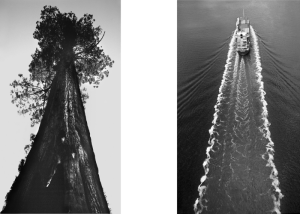 What Are Two Photos Together Called? - NoKishiTa Camera