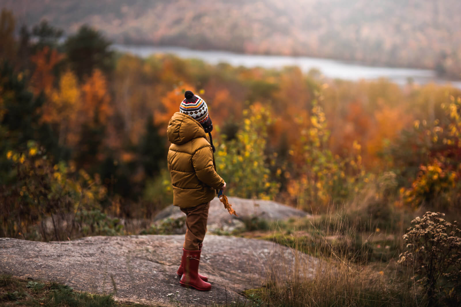 What Colors Are Good for Photography in The Fall - NoKishiTa Camera