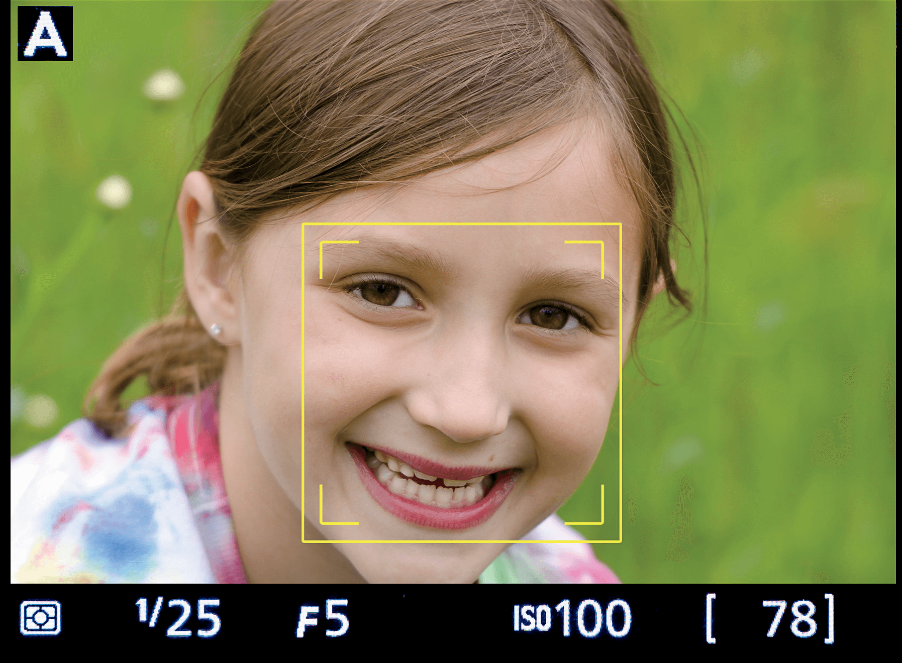 Does Canon 6D Mark 2 Have Face Detection? - NoKishiTa Camera