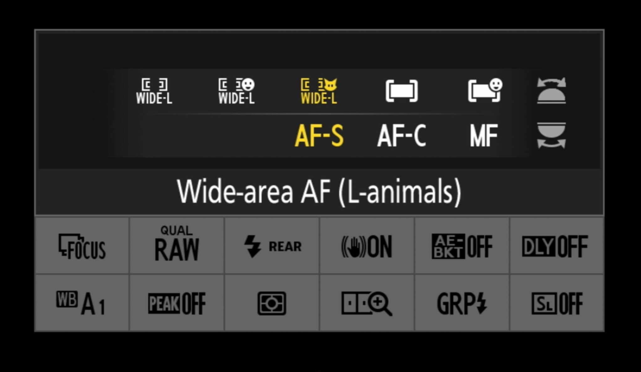 How Important Is the Autofocus System in a Camera for Filming Sports ...