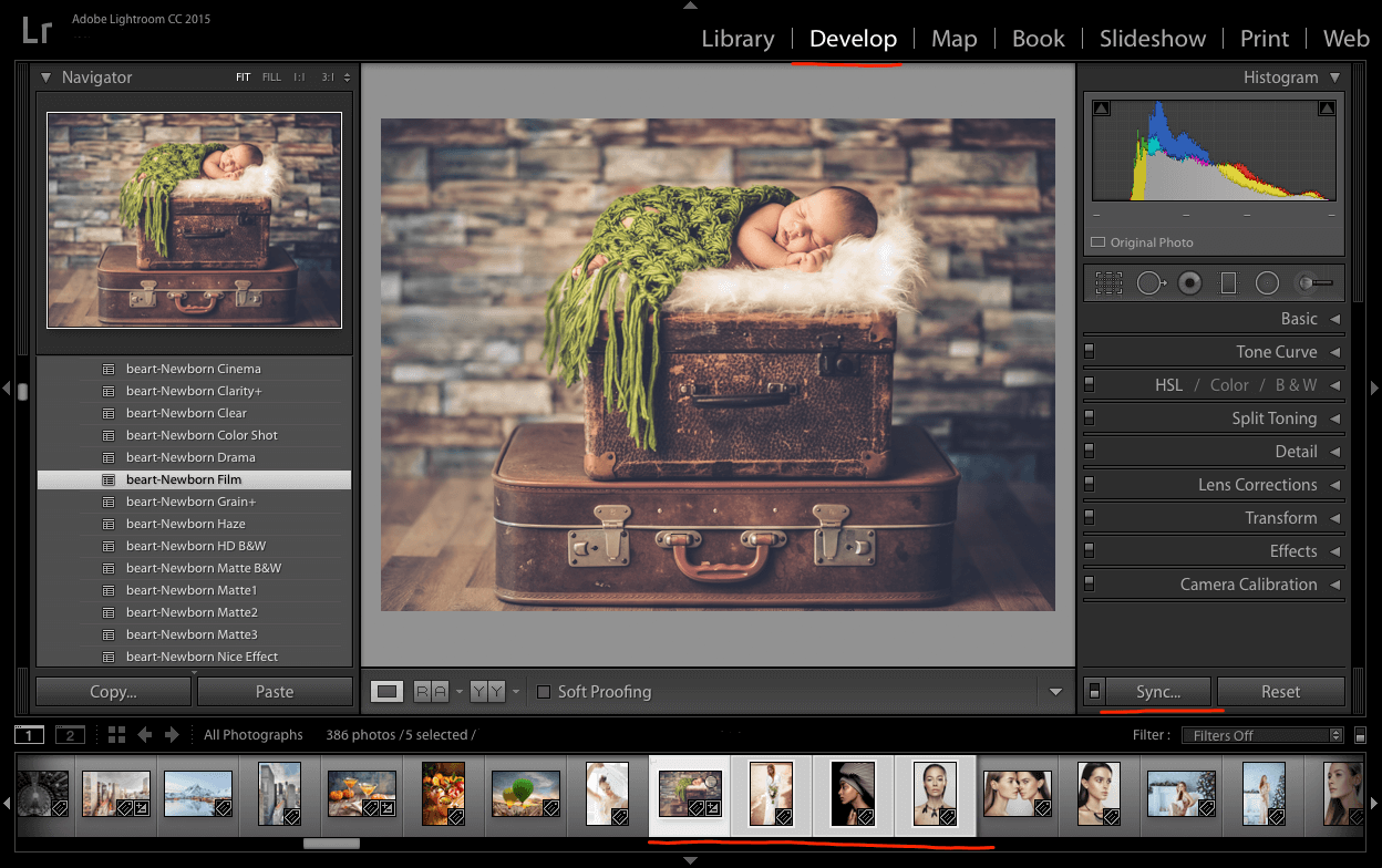 What Are the Steps to Apply a Preset to A Batch of Photos in Lightroom? - NoKishiTa Camera