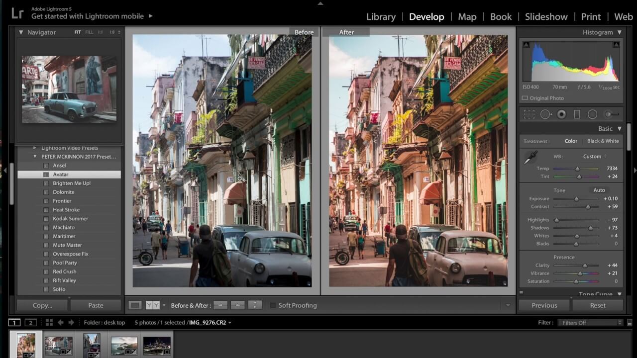 What Are the Steps to Apply a Preset to A Batch of Photos in Lightroom ...