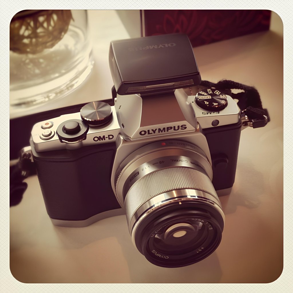 Understanding Olympus OMD EM5 Manual Symbols and Terms - NoKishiTa Camera