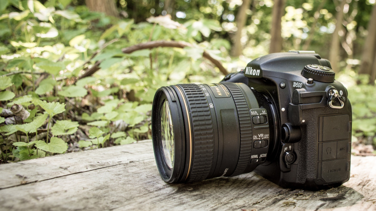 Nikon D500 Review and Performance in 2025 - NoKishiTa Camera
