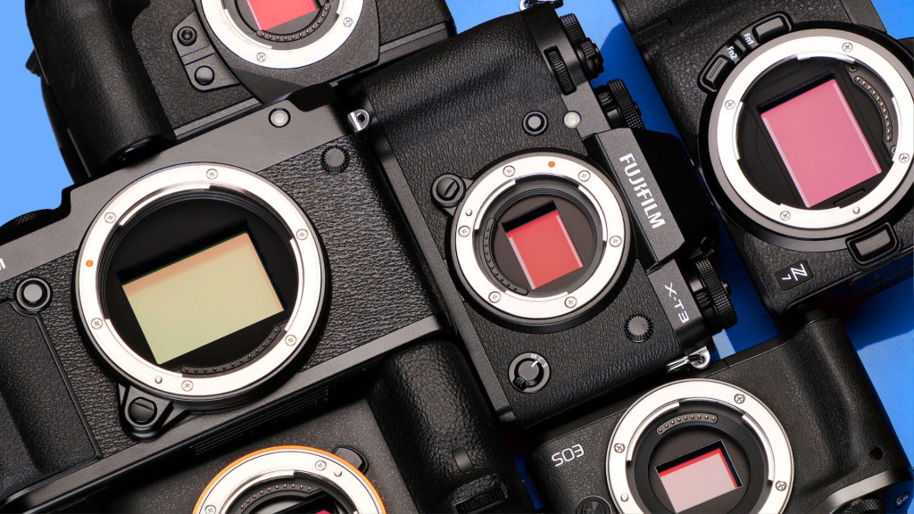 Sensor Size Comparison: Find Your Best Camera Fit - NoKishiTa Camera