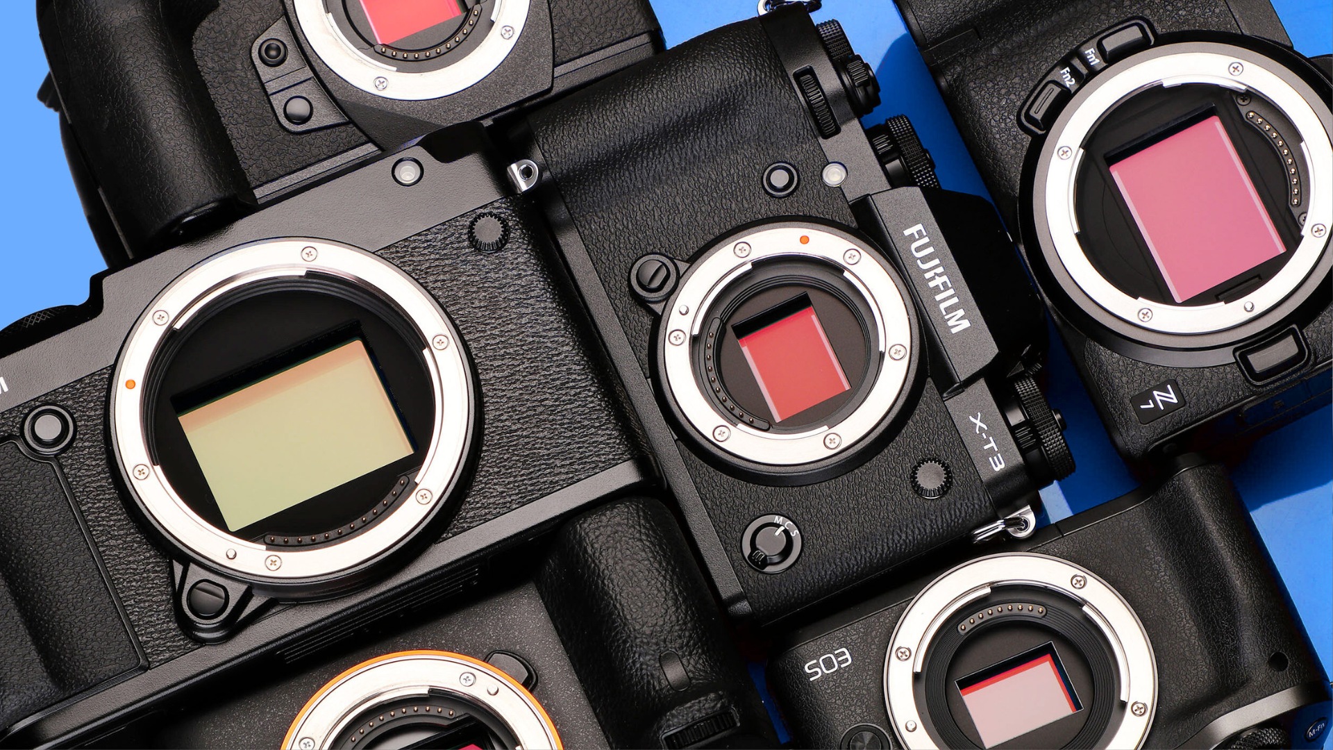 Sensor Size Comparison: Find Your Best Camera Fit - NoKishiTa Camera