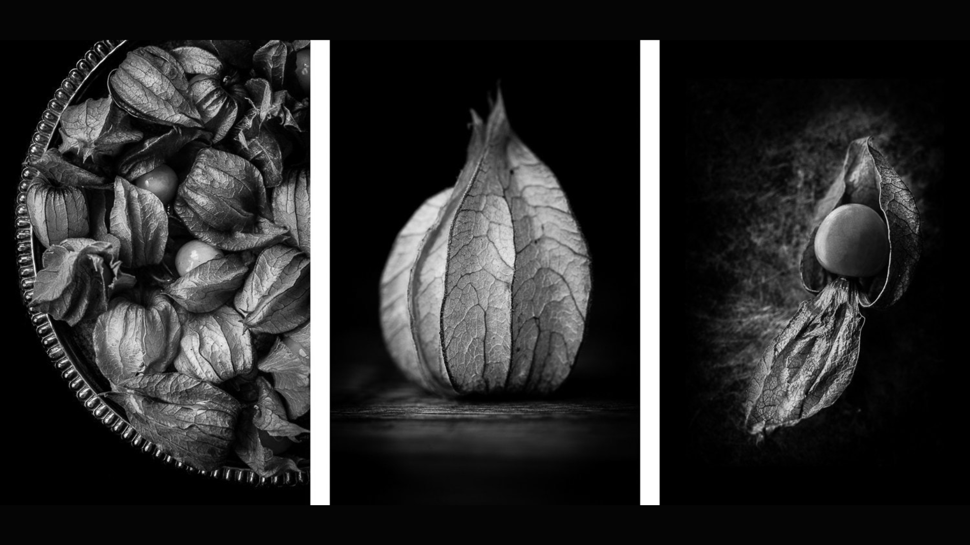 How to Master Triptych Photography - NoKishiTa Camera