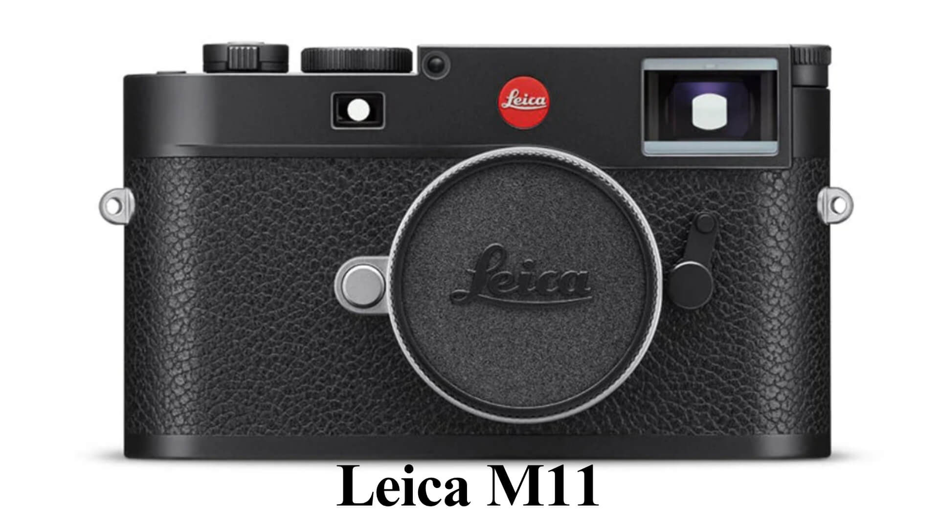 Leica M11 Review: First Impressions, Specs & Tips - NoKishiTa Camera