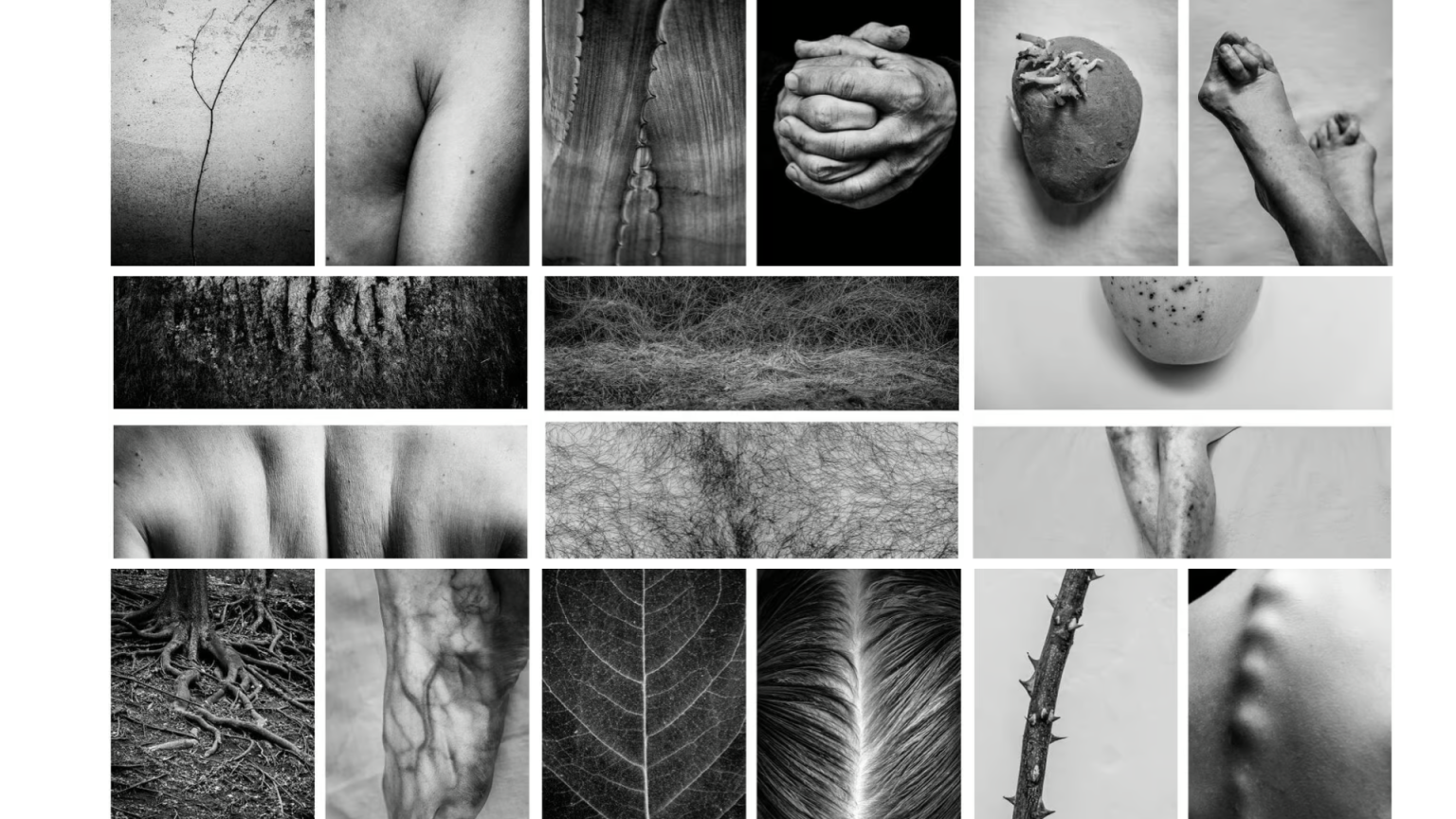 Understanding Diptych Photography: A Simple Guide - NoKishiTa Camera